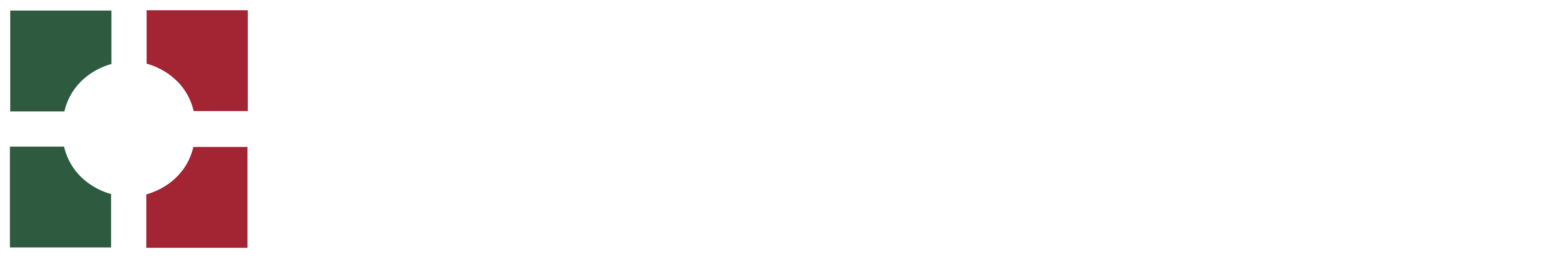 Catalogo – Rossetti